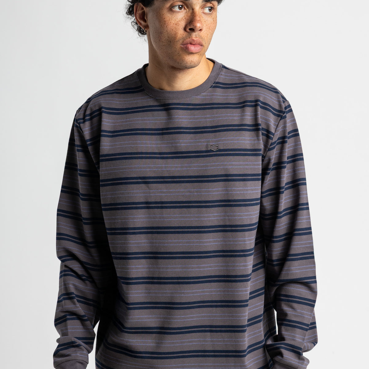 Icon Stripes TITUS Longsleeve in grey-striped für Herren