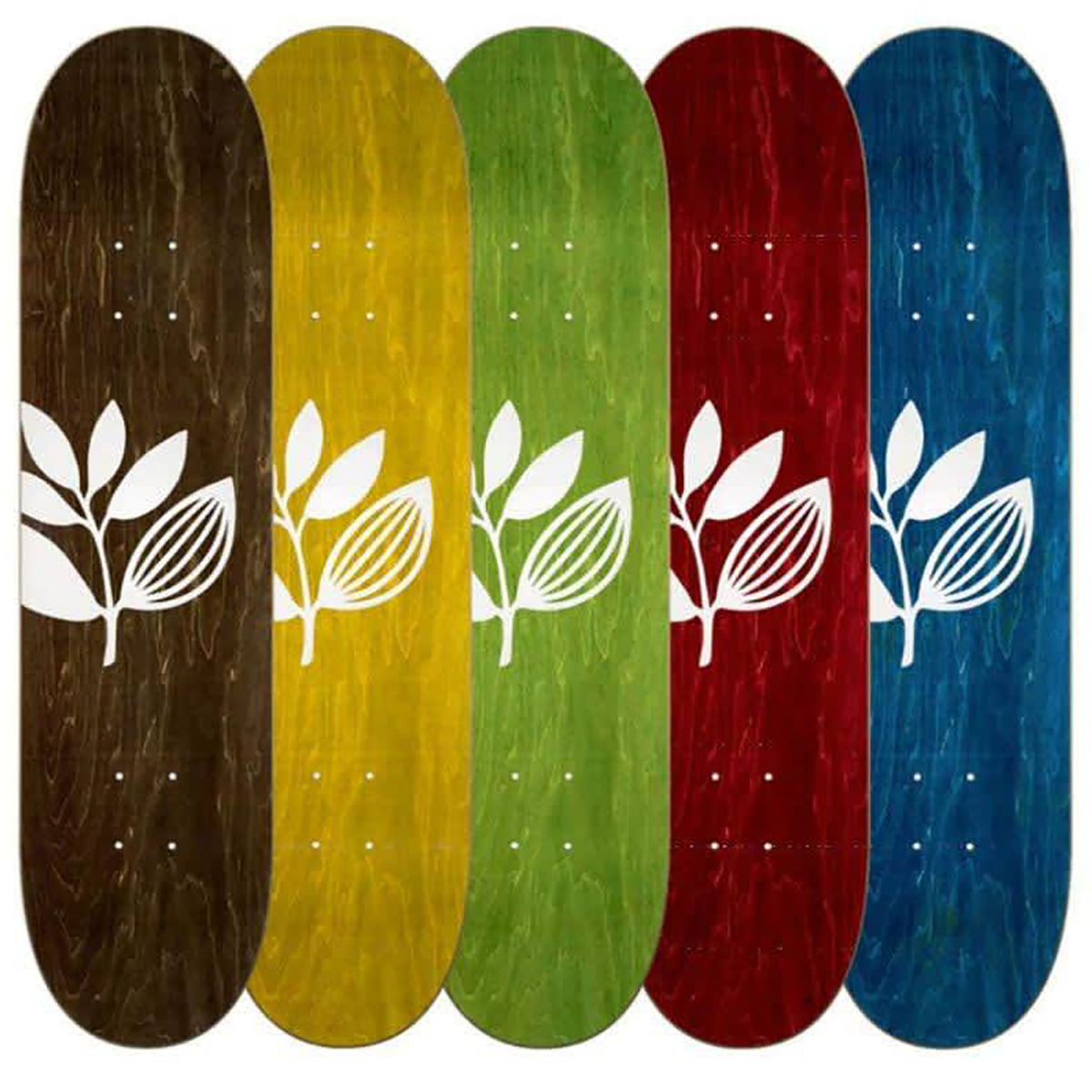 Big Plant Team Wood Magenta Deck in assorted – TITUS